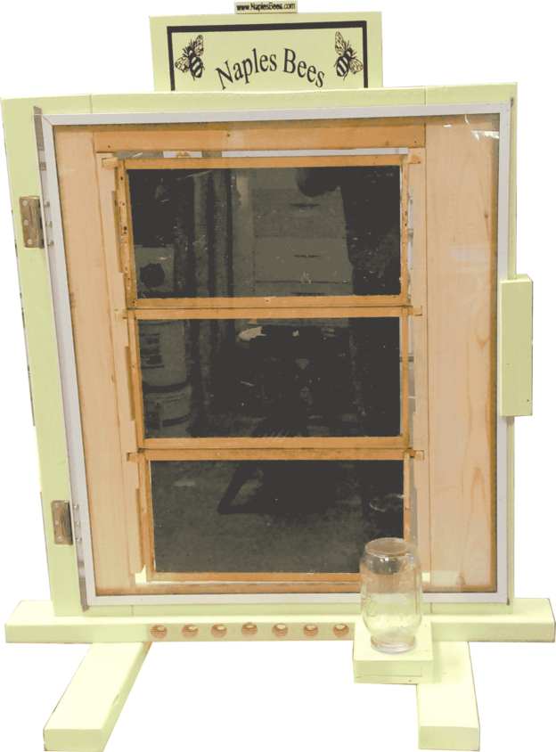 observation_hive | NaplesBees.com